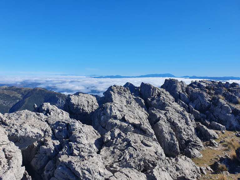 Crestería de la Sierra del Pinar — Parc naturel de la Sierra de ...