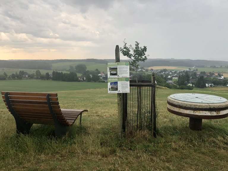 Mühlstein Viewpoint Routes for Walking and Hiking | Komoot