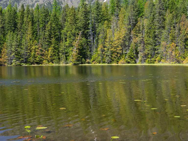 McDonald Creek & Johns Lake Loop — Glacier National Park Du willst die ...