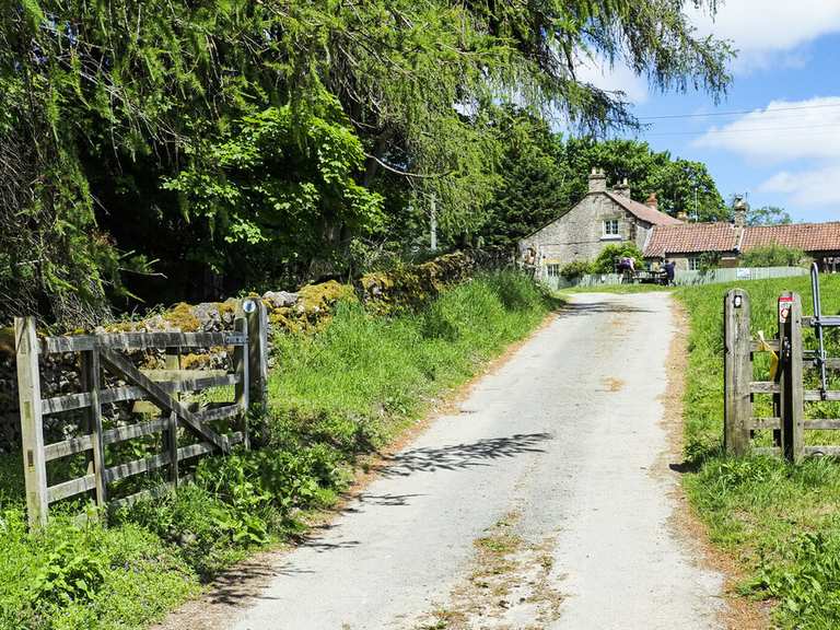 High Paradise Farm and Boltby Reservoir loop — North York Moors ...
