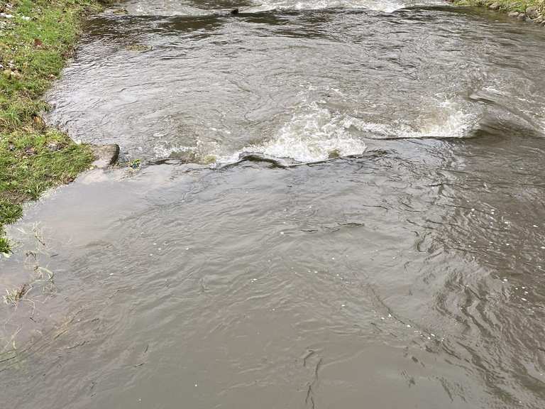 Vistrap van rivier de Roer.: Wanderungen und Rundwege | komoot