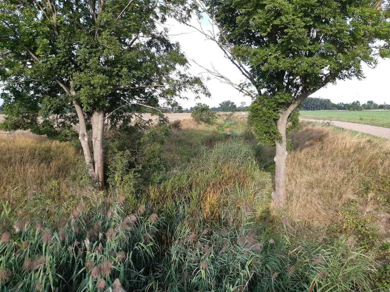 Saalekreis District Border – Hiking & Cycling Routes | Komoot