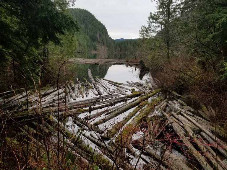 Greg Ball Trail to Wallace — Wallace Falls State Park Lake | hike | Komoot