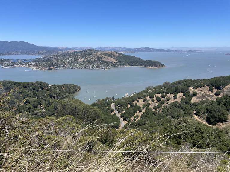 Boucle Mount Caroline Livermore - Angel Island State Park | course | Komoot