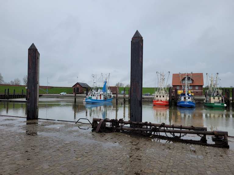 Rundweg Langwarder Groden – Hafen Fedderwardersiel Runde von ...