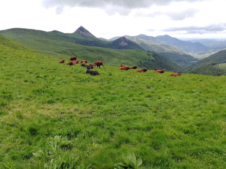 Col de Cabre: Wanderungen und Rundwege | komoot
