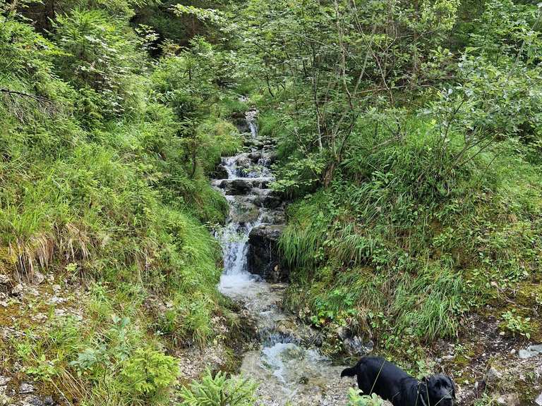 Kabbelend beekje met kleine watervalletjes: Wanderungen und Rundwege ...