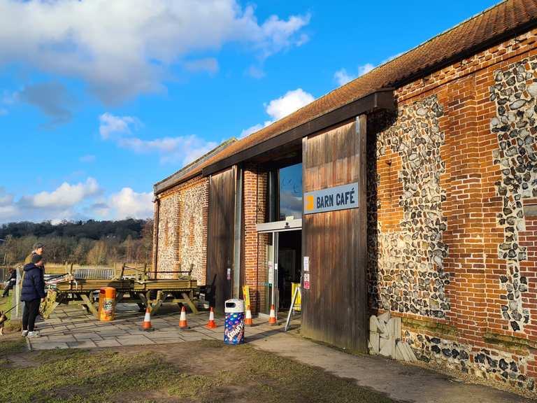 Whitlingham Great Broad & Surlington Church Marsh via River Yare — The ...