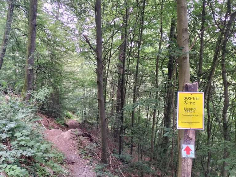 Lumberjack Trail – trasy MTB | Komoot