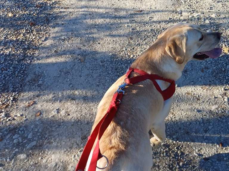 Albinea and the castles of Borzano and Montericco – loop tour | hike ...