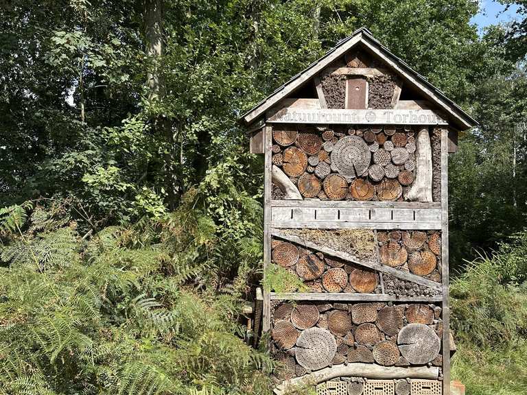 Insect hotel – Hikes & How to Get There | Komoot
