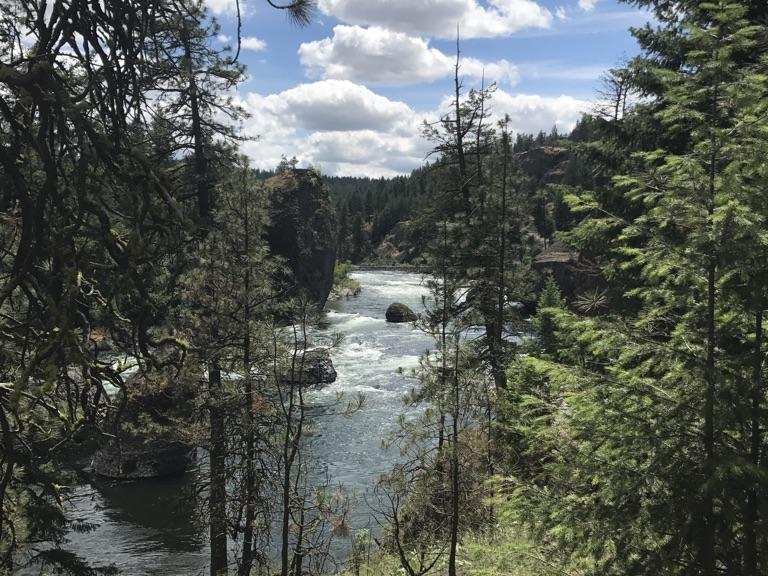 Trail 25 loop via Bowl and Pitcher — Riverside State Park | run | Komoot