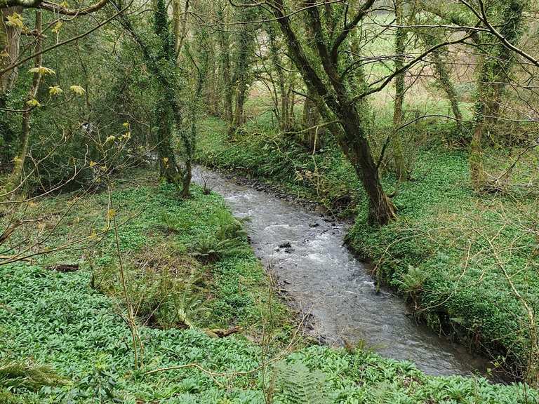 Ceibwr bay and Pwll-y-Wrach (Witches' Cauldron) | Wanderung | Komoot