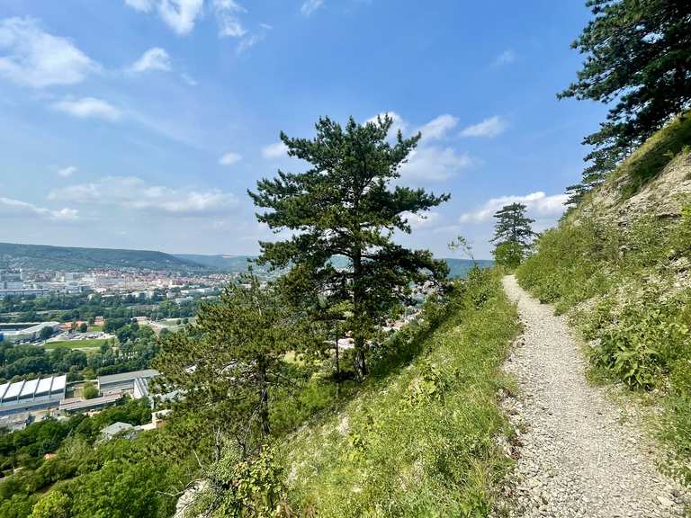 Saale Horizontale – Blick auf Jena Runde von Jena West | Wanderung | Komoot