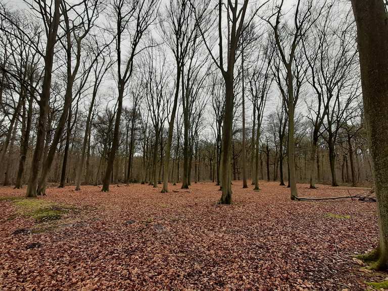 Peerdsbos – Wandel- & Fietsroutes | Komoot