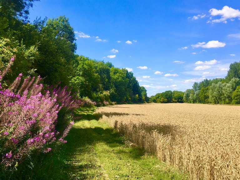 Coln St Aldwyns & River Coln Schleife — Die Cotswolds | Wanderung | Komoot