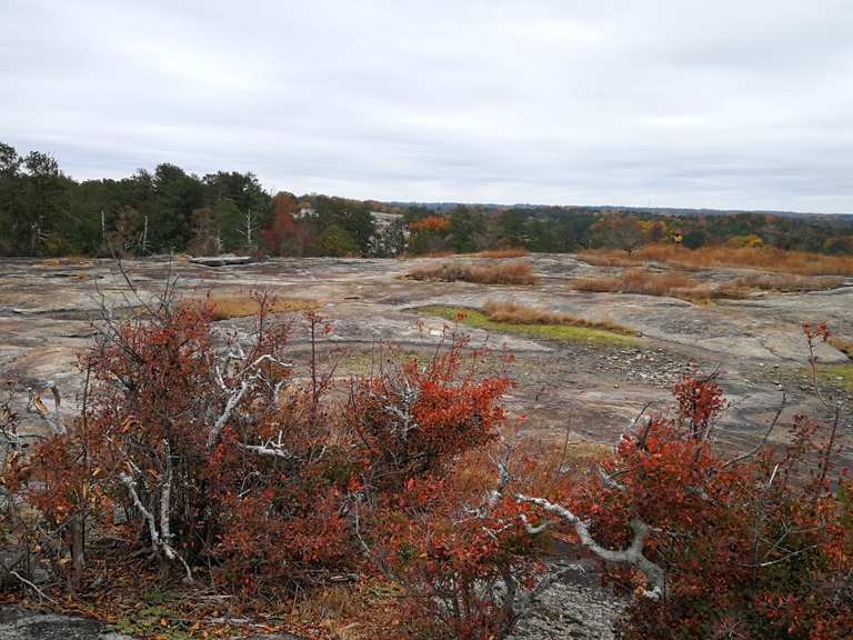 Arabia Mountain Peak Trail to Mountain View loop — Arabia Mountain ...