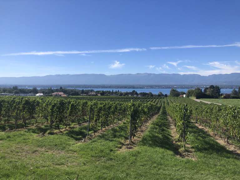 From the city center of Genève to Hermance and the French border — loop ...