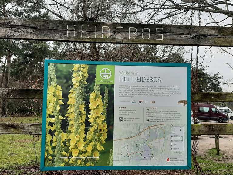Parking 1 Heidebos Moerbeke: Wanderungen und Rundwege | komoot