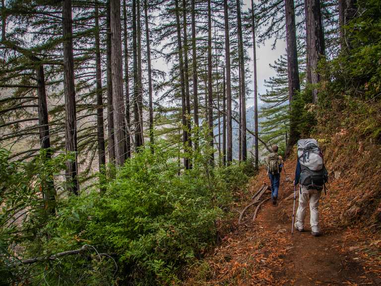 Sykes Hot Springs über den Pine Ridge Trail | Wanderung | Komoot