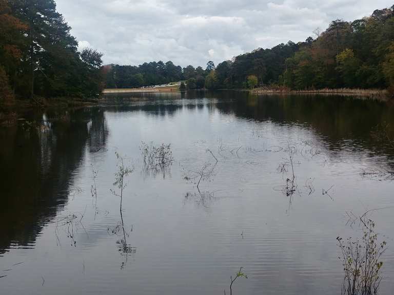 Dal lago superiore Alexander al centro natura - Panola Mountain State ...