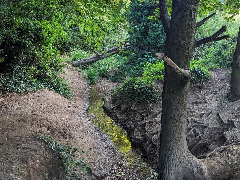 Arthur Newbery Park: Wanderungen und Rundwege | komoot