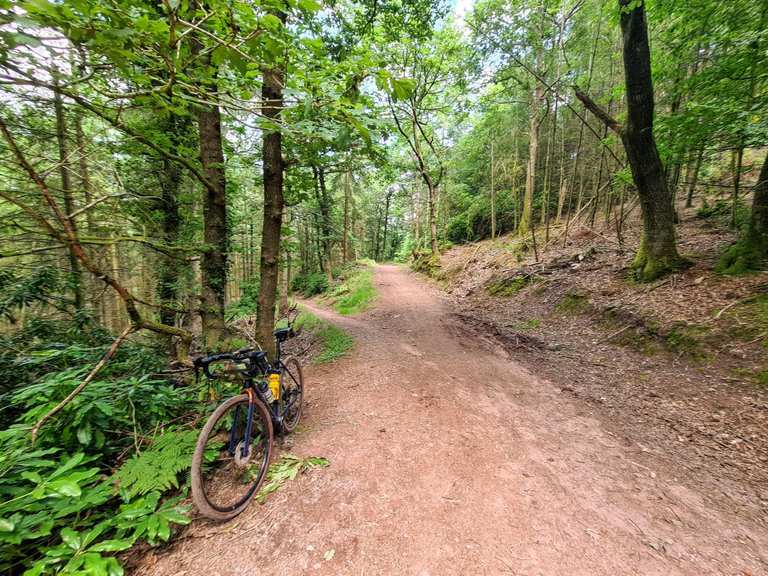 Great Wood loop via The Drove — Quantock Hills | hike | Komoot