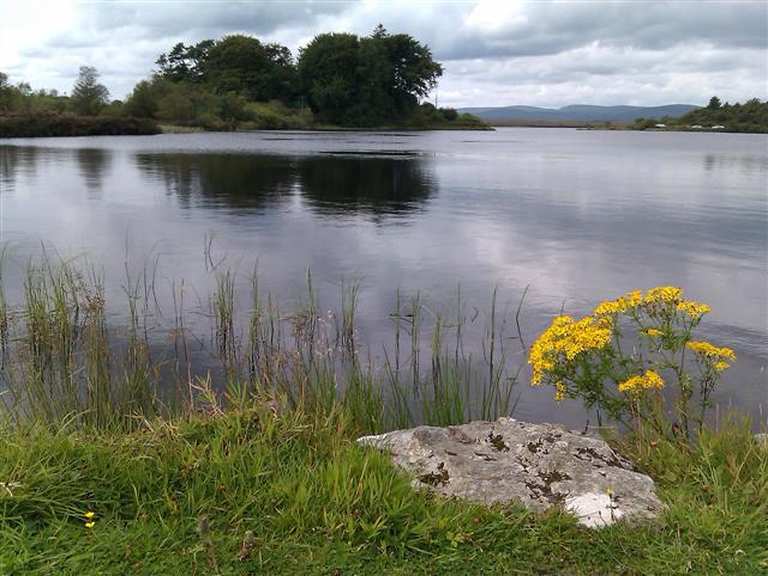 Lough Fea: Wanderungen und Rundwege | komoot