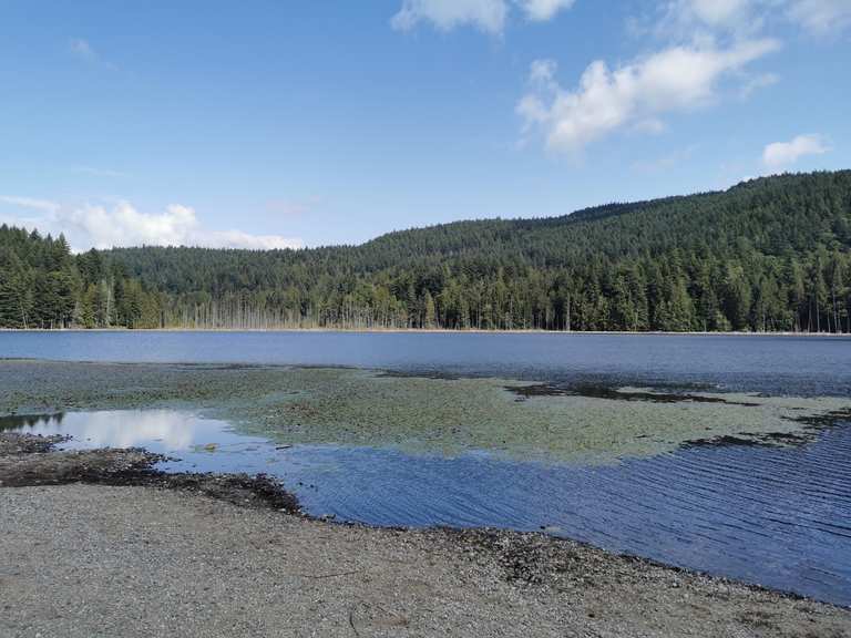 Killarney Lake loop — Bowen Island Ecological Reserve | Wanderung | Komoot