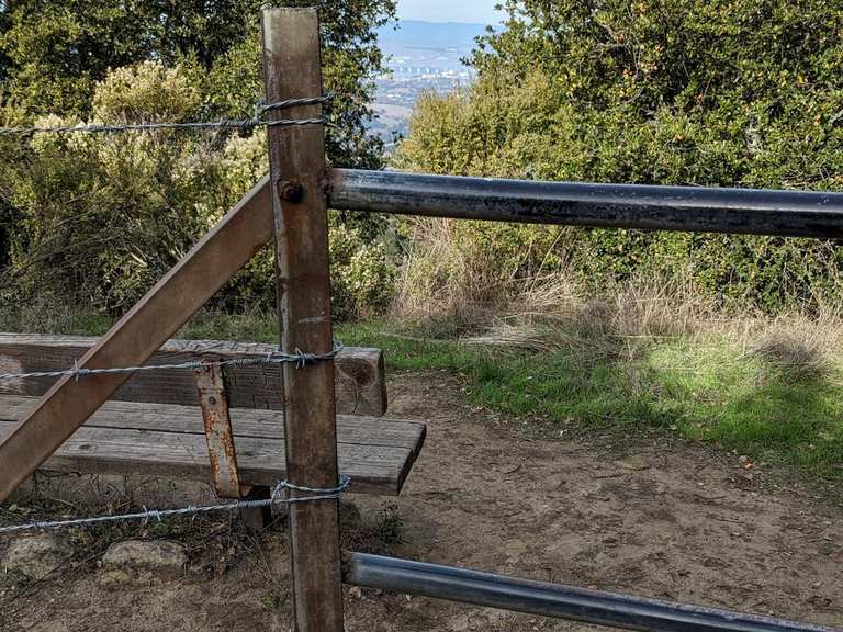 Mt. Diablo & Briones Peak — Briones Regional Park | wandeling | Komoot