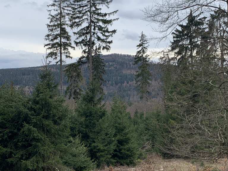 Großer Feldberg – Ausblick über den Taunus Runde von Hegewiese ...