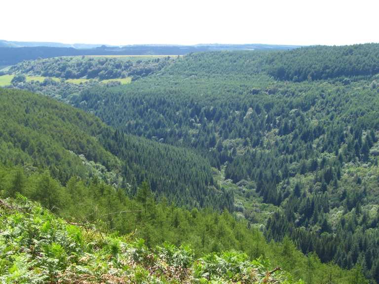 Boucle Reasty Bank via Barns Cliff End — North York Moors National Park ...
