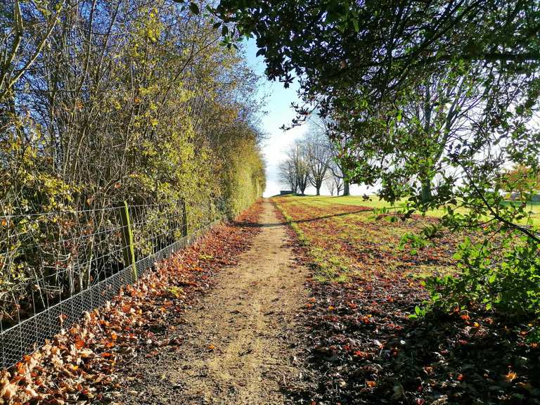 mount sorrel / Hill 62 : Radtouren und Radwege | komoot