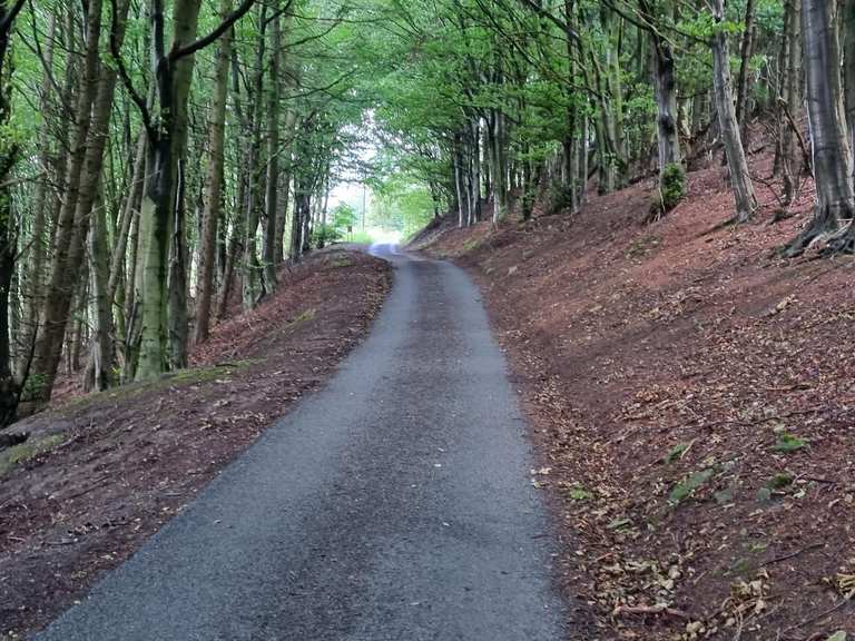 Road up to High Paradise Farm – High Paradise Farm Tearoom loop from ...