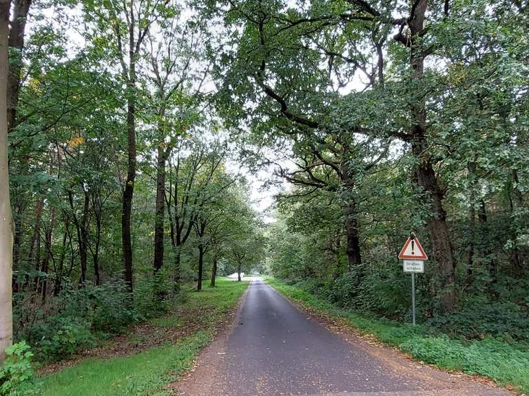 Verhard pad richting Nederland - wiellerroutes en kaart | Komoot