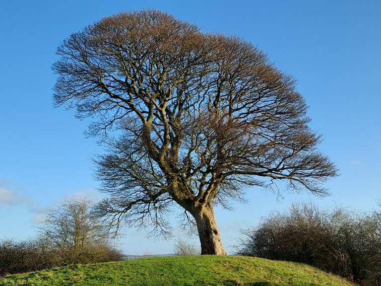 Matlock Bath, Winster & Oaker Hill loop from Matlock — Peak District ...