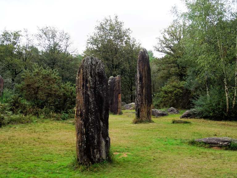 La Voie Verte Guer/Ploërmel — laço | Percurso de cicloturismo | Komoot
