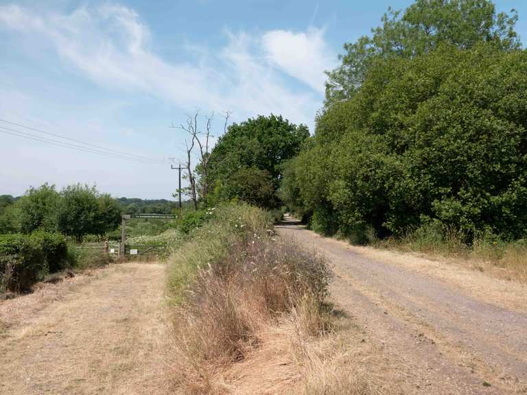 Castleman Trailway - Cycle Routes and Map | Komoot