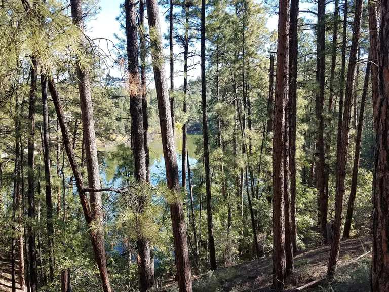 Goldwater Lakes Loop — Prescott National Forest Chcesz zrobić trasę ...