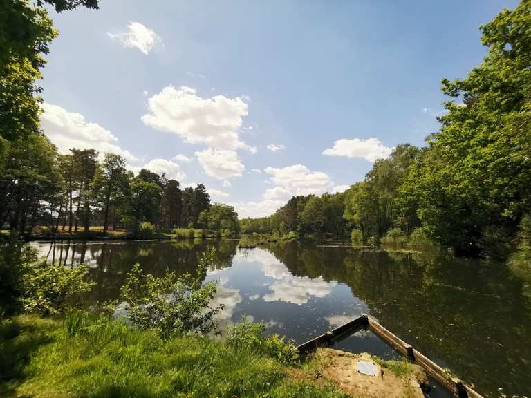 Boucle de Frensham Little Pond, Tilford & Hankley Common depuis ...