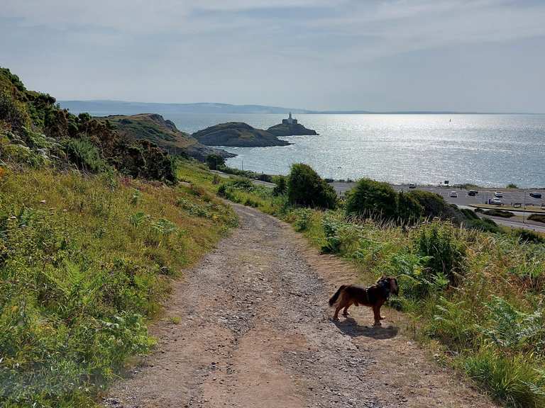 Von Swansea Bay nach Mumbles über Mumbles Hill Nature Reserve ...
