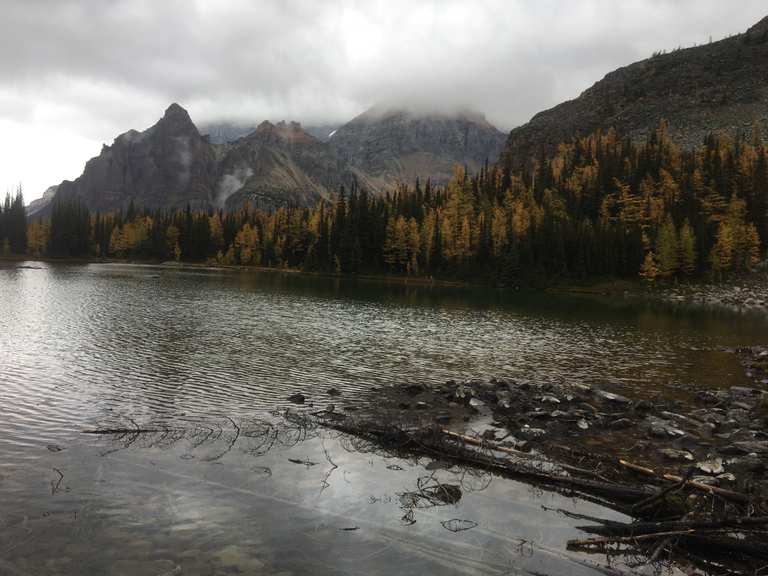 Lake McArthur & Big Larches Trail loop — Yoho National Park | hike | Komoot