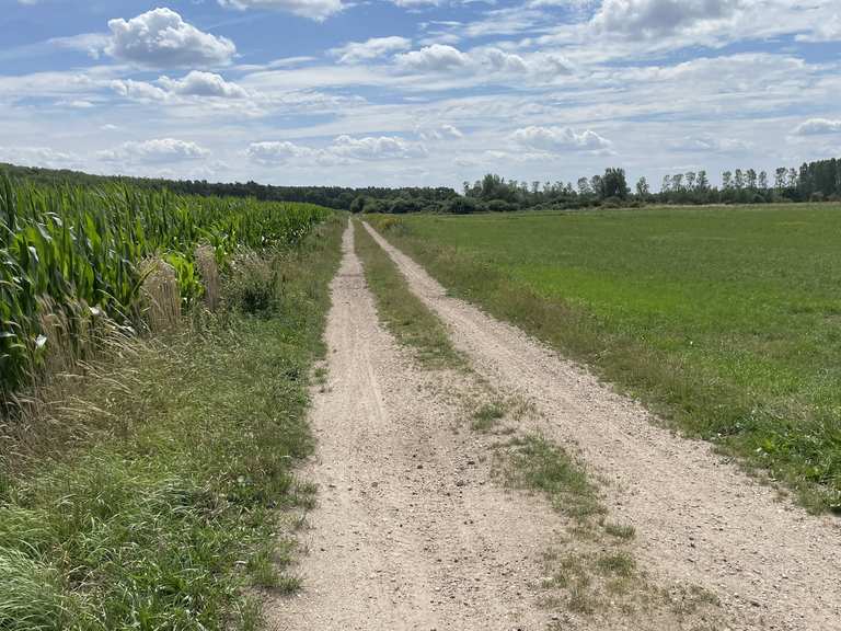 Bockerijders 2025 109km | Gravel-Tour | Komoot