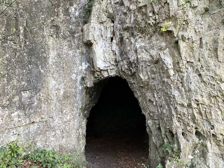 Giants Cave: Wanderungen und Rundwege | komoot