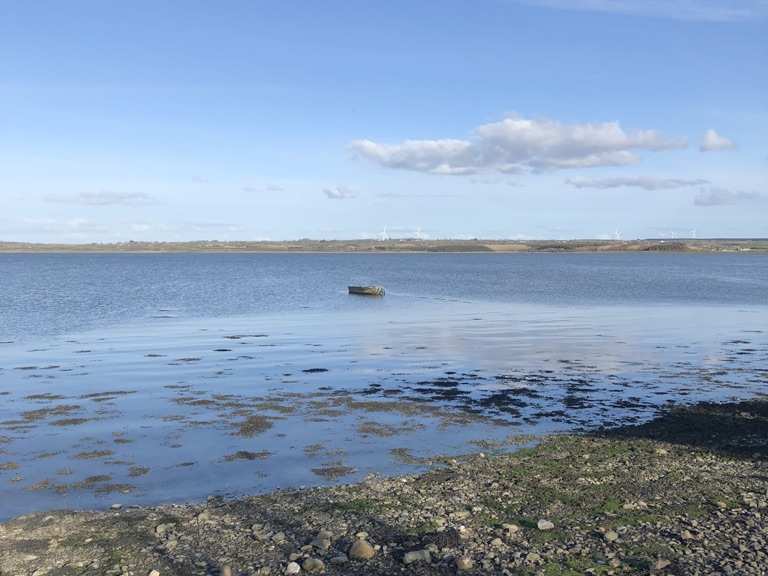 Carrig Insel: Wanderungen und Rundwege | komoot