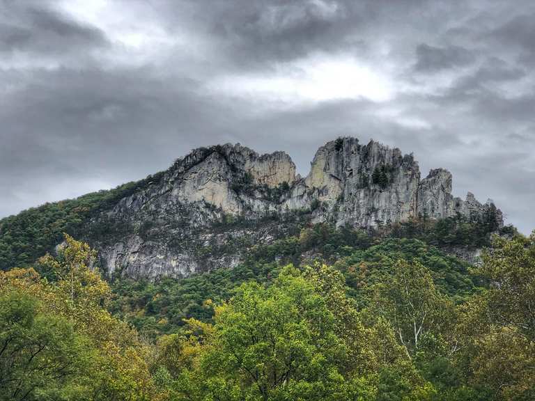 North Fork loop — Monongahela National Forest | percurso de Mountain Bike | komoot