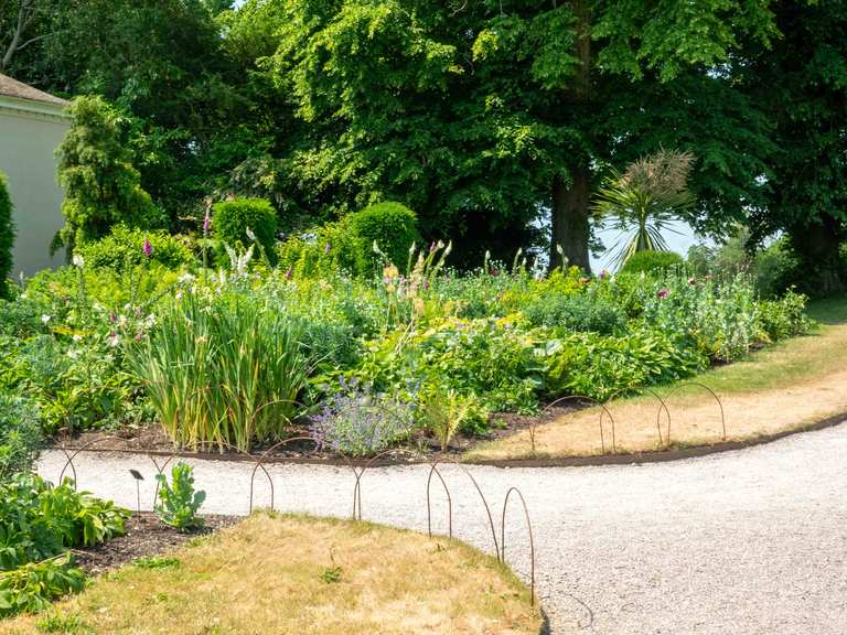 Saltram House - Cycle Routes and Map | Komoot