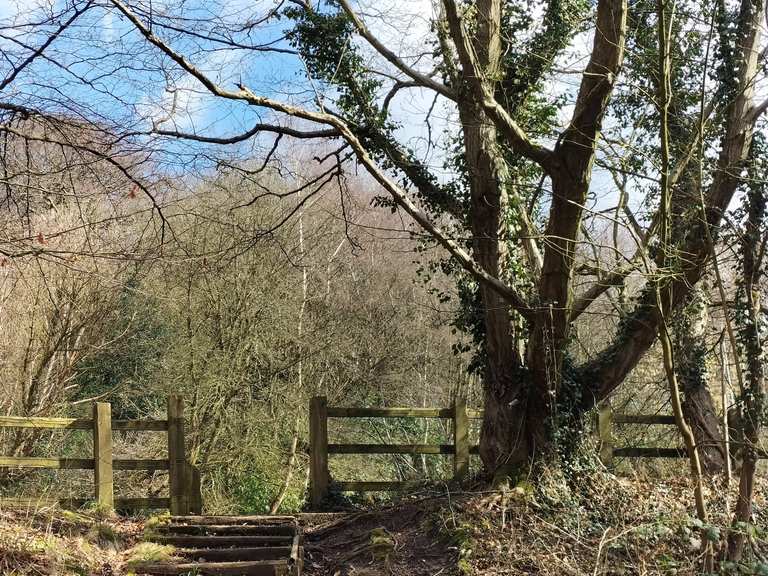 Prestwich Park (Philips Park) MTB Trails - Mountain Bike Trails ...