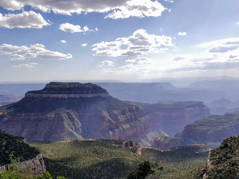 Rainbow Rim Trail loop — Grand Canyon National Forest | mountain bike ...