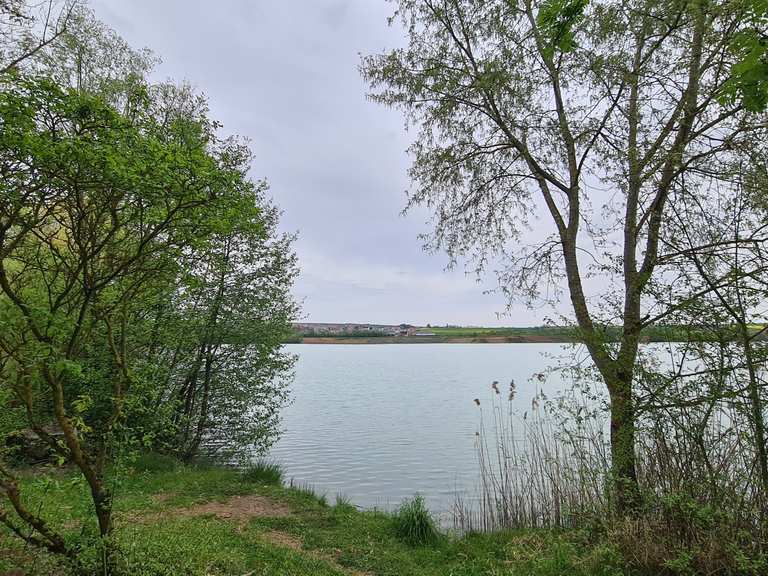 Baggersee Dettelbach: Wanderungen und Rundwege | komoot